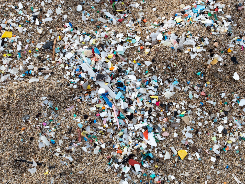 Ocean Microplastics - What are they? and how do they harm our oceans? ⋆ ...